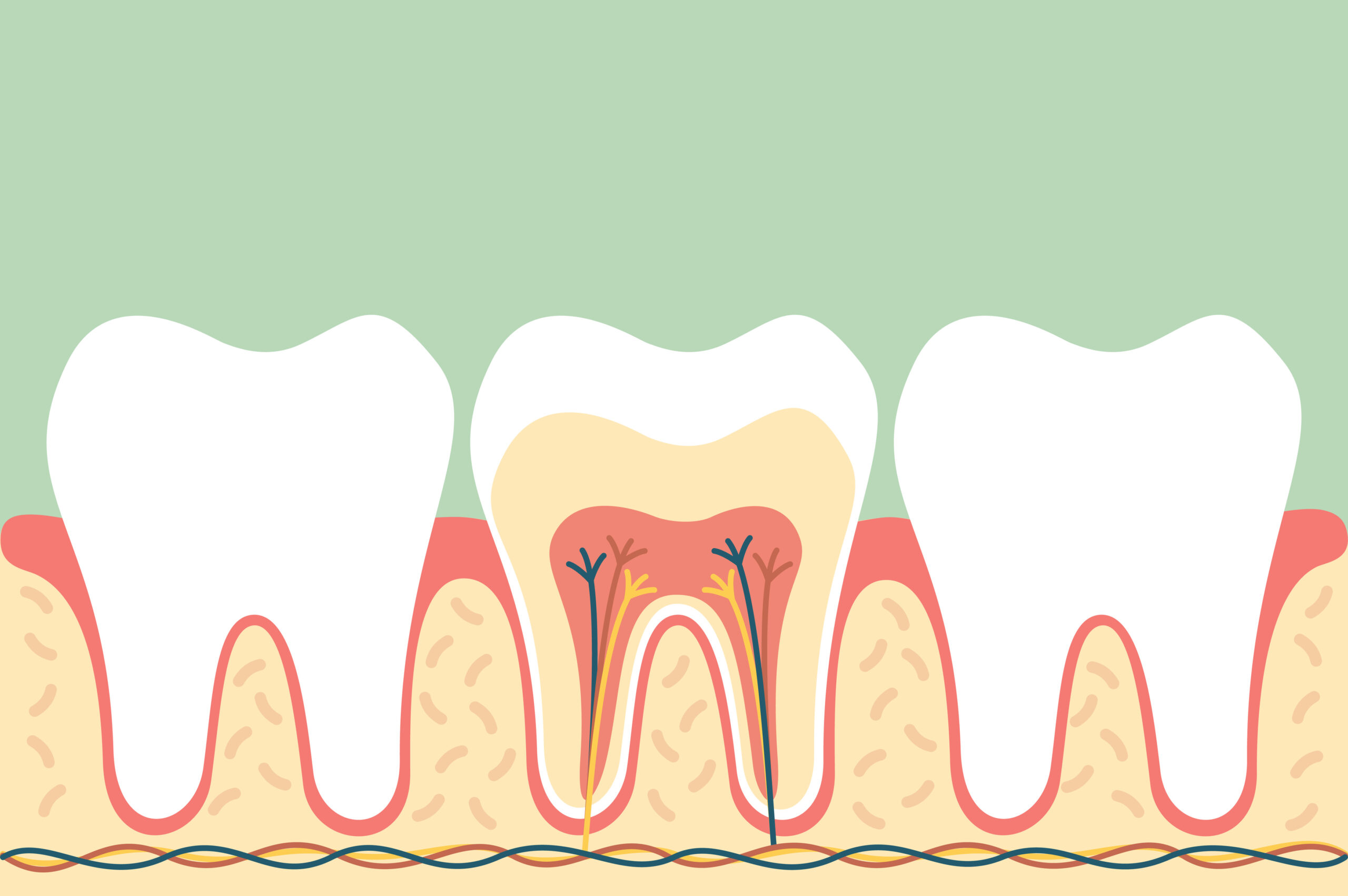 How Long Does It Take To Recover From A Root Canal?